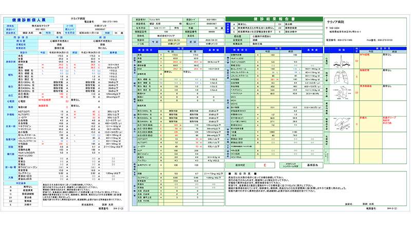 Excelで作る 健康診断・人間ドック 結果報告書